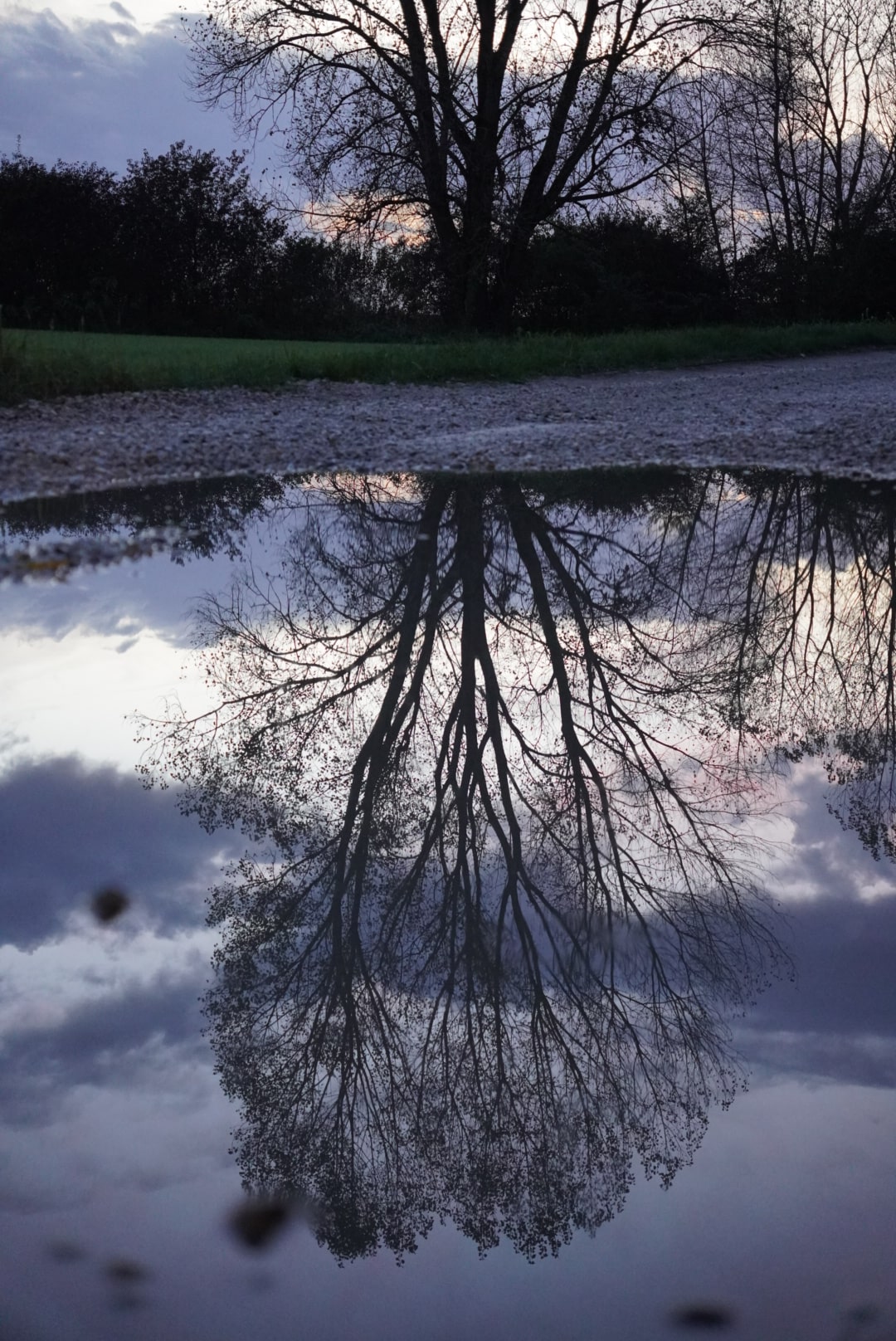 Mrtva priroda kao inspiracija slikarima: 17 zanimljivosti